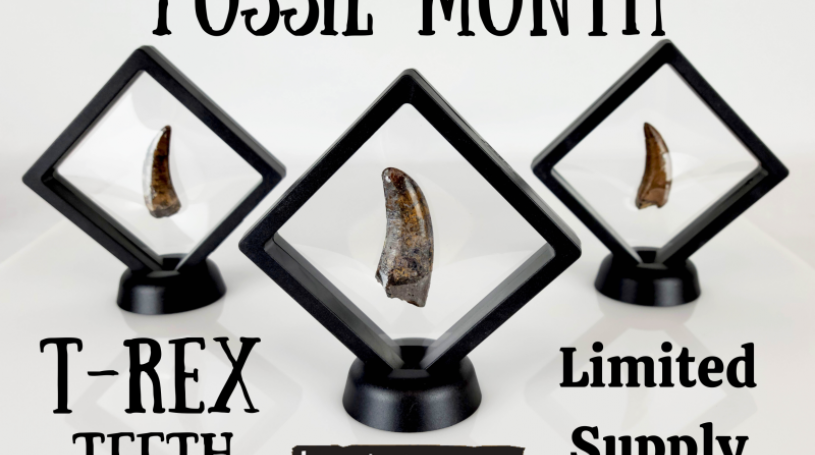 Touchstone Gallery - Visit Sedona