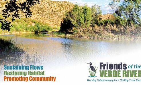 A Verde River Experience - Visit Sedona Blog