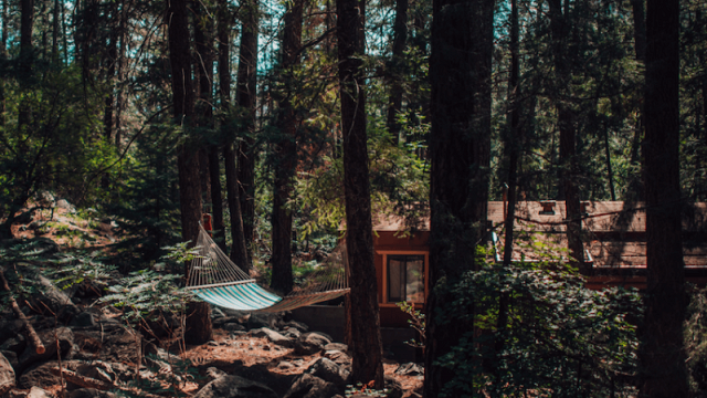 Don Hoel’s Cabins & Cafe - Visit Sedona