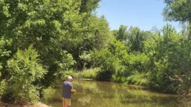 Rio Verde RV Park - Visit Sedona