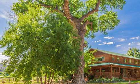 D.A. Ranch - Visit Sedona