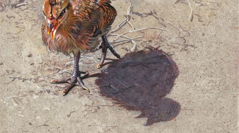 Kim Diment at Rowe Fine Art Gallery - Visit Sedona Events Calendar