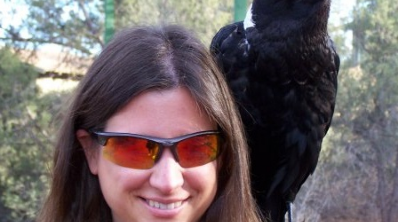 The Birds Who Watch You Back, by Emily Cory - Visit Sedona Events Calendar