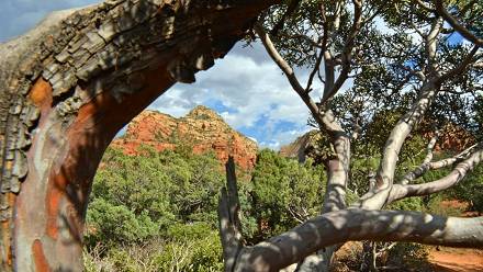Visit Sedona | The official site of the Sedona Tourism Bureau